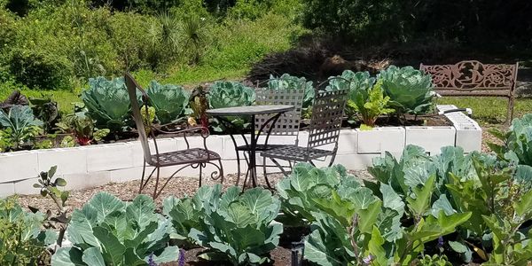 CIRCLE POND TINY COMMUNITY